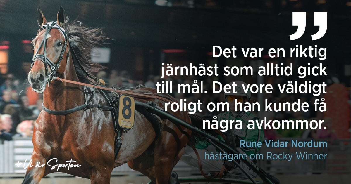 Rune Vidar Nordum, hästägare